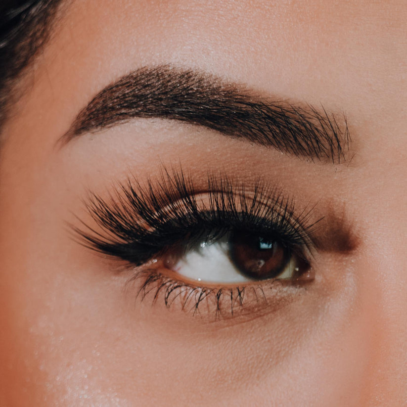Chacalosa | Luxury Silk Lashes | Chula Beauty